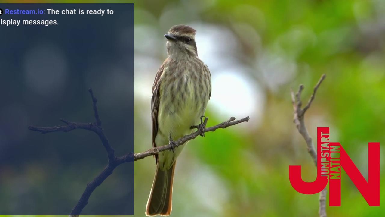 Jumpstart Nation with Byron and Rhea Mills - One News Page VIDEO