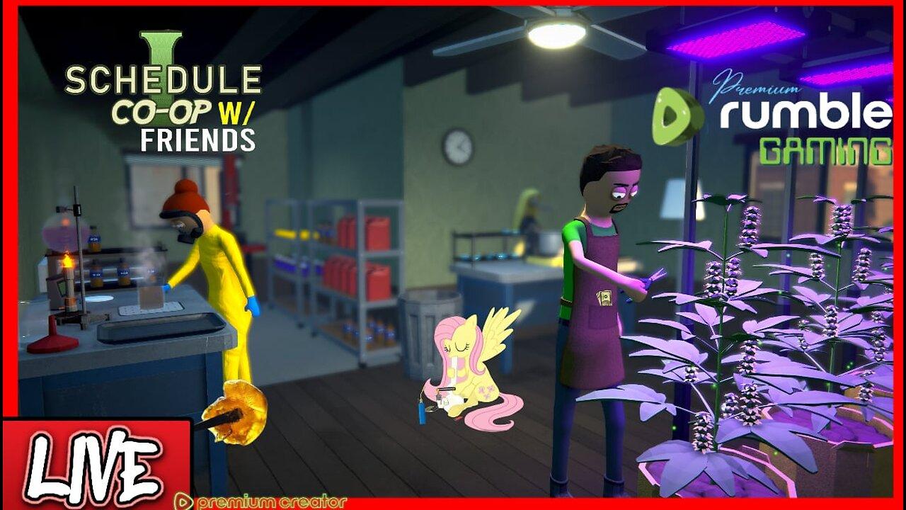 Schedule 1 Co-op w/Friends - One News Page VIDEO