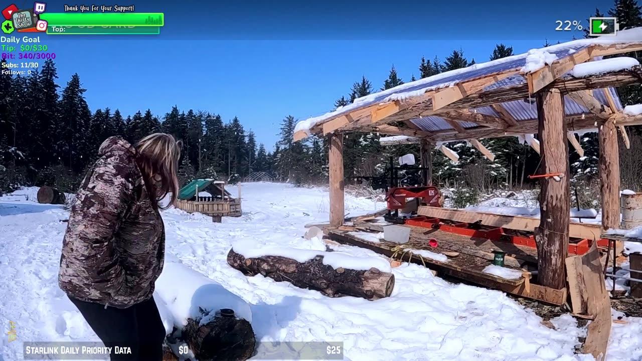 Brie Home GREEN HOUSE BUILD STARTS - LOG CABIN - One News Page VIDEO