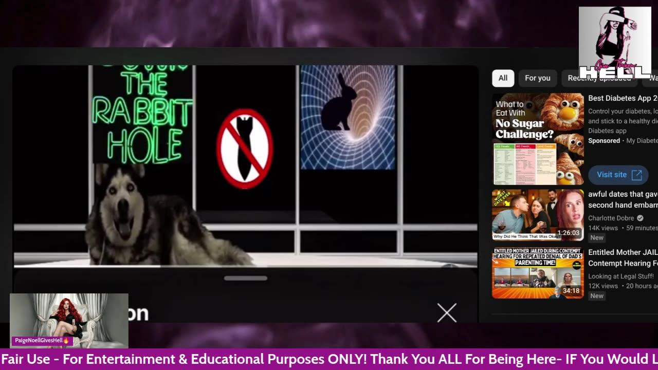 The History of a KNOWN Scammer- - One News Page VIDEO