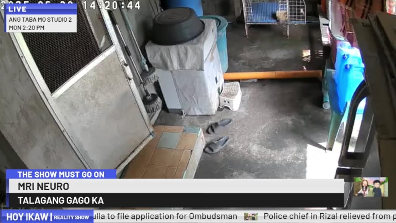 Mitsubishi Xpander 2019 Live - One News Page VIDEO