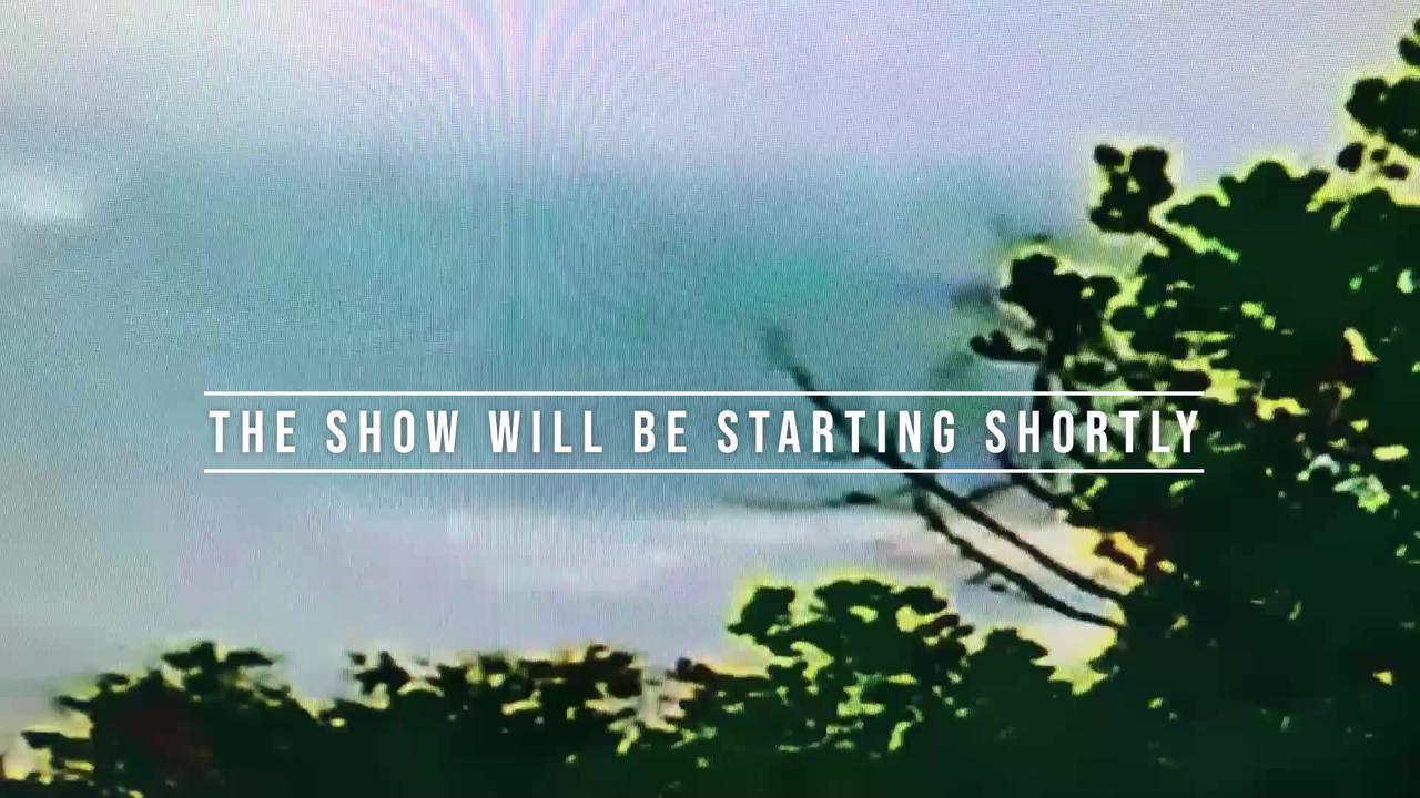 How to Be an Artist - One News Page VIDEO
