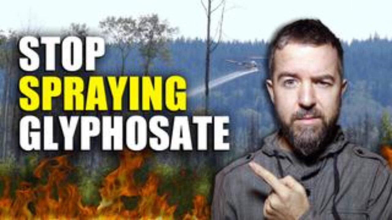 While They SPRAY GLYPHOSATE OVER THE WOODS Bayer - One News Page VIDEO