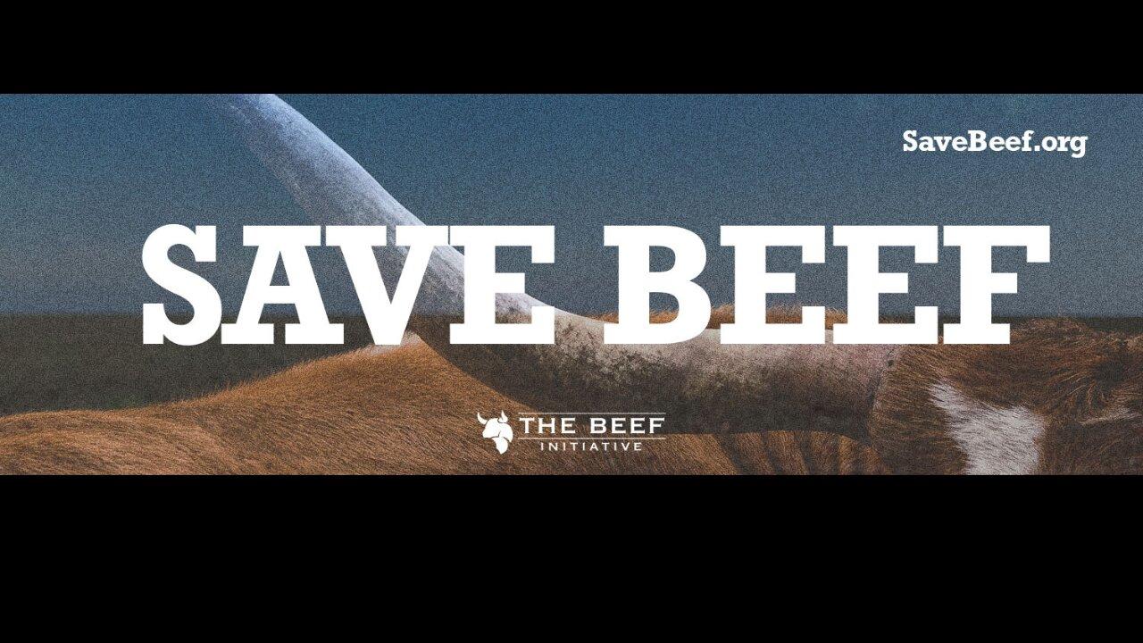 The Beef Initiative | Know Your Cow | - One News Page VIDEO