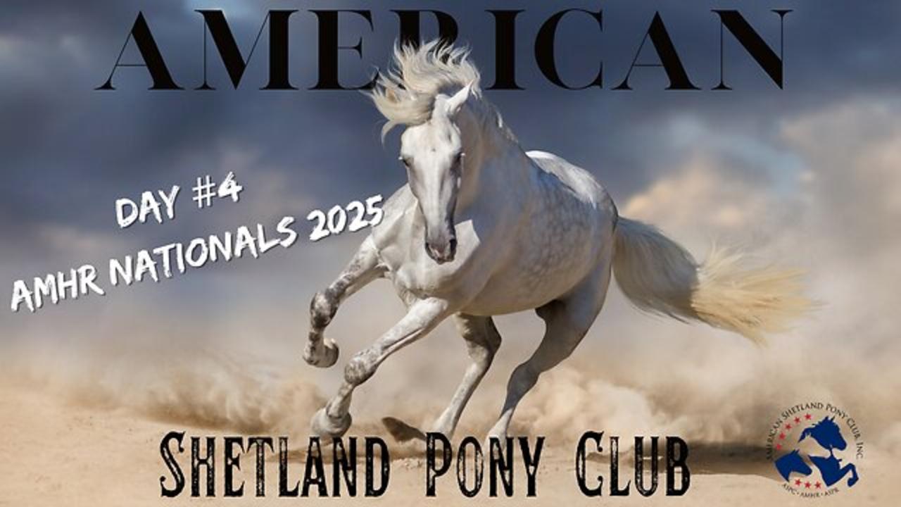 AMHR Nationals 2025 (Day #4) Ford Arena - One News Page VIDEO