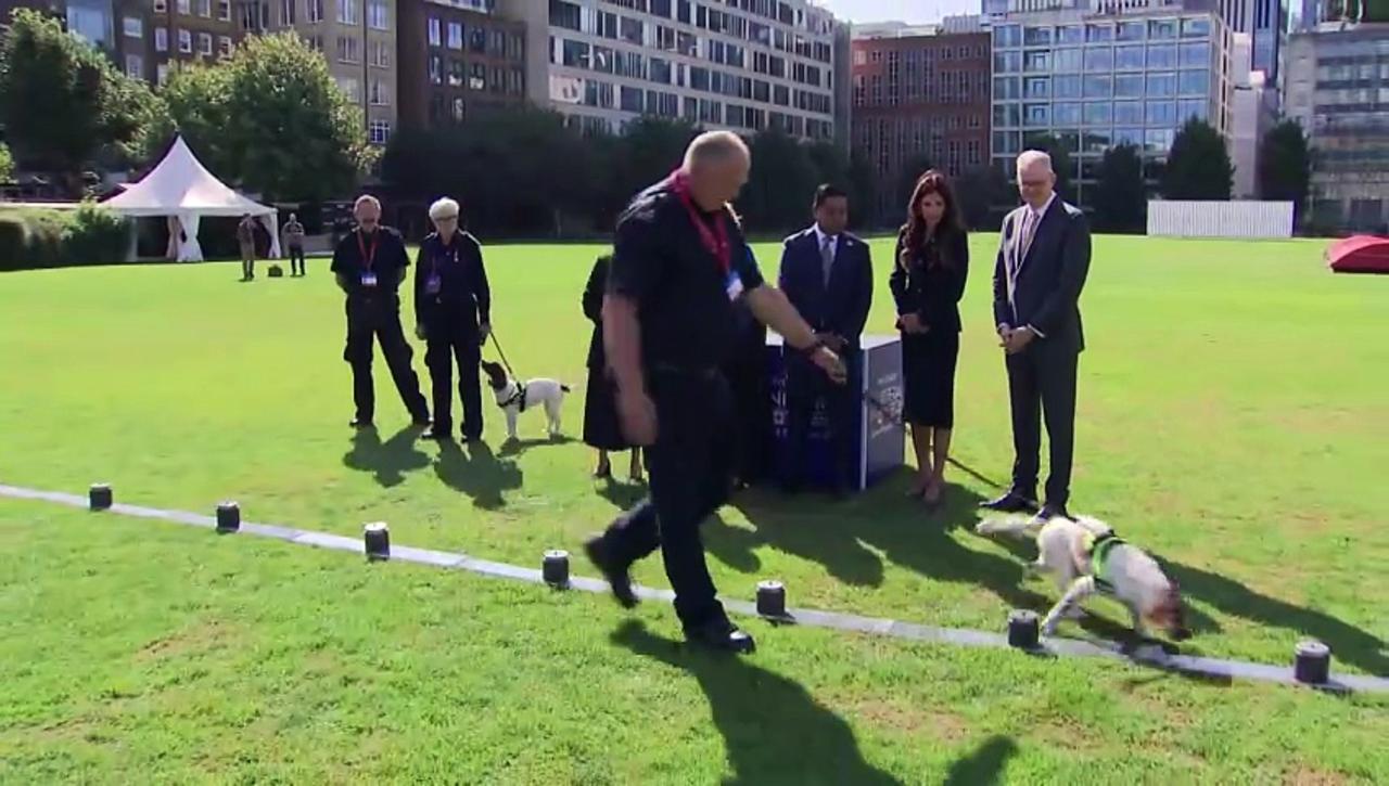 International ministers watch sniffer dog - One News Page VIDEO