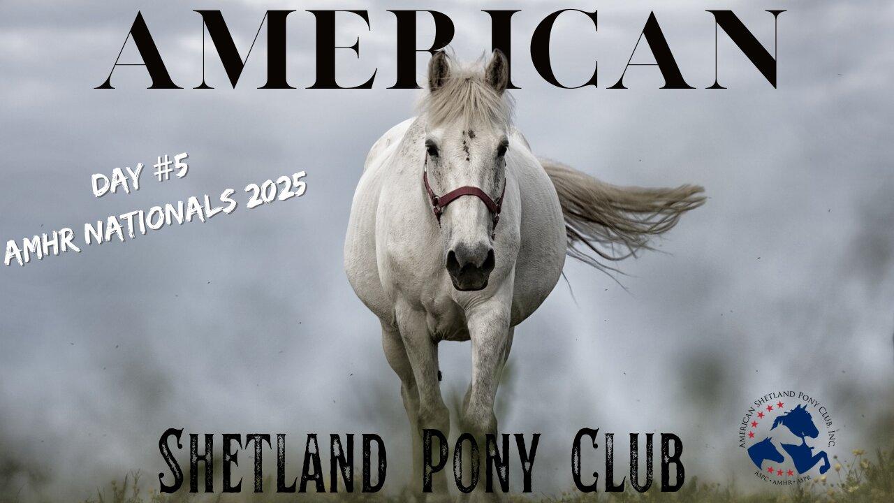 AMHR Nationals 2025 (Day #5) Ford Arena 9/8/2025 - One News Page VIDEO