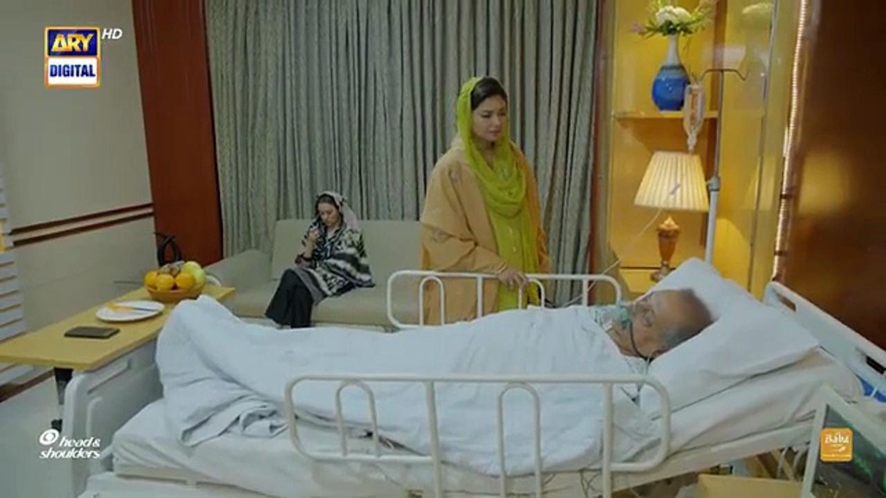 Sher Episode 33 - 11 September 2025 - ARY - One News Page VIDEO