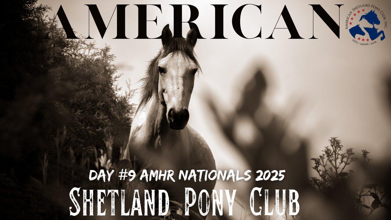 AMHR Nationals 2025 (Day #9) Ford Arena - One News Page VIDEO