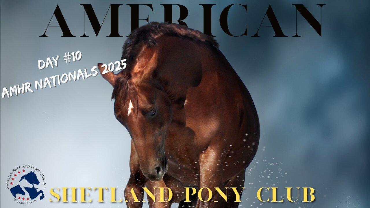 AMHR Nationals 2025 (Day #10) Ford Arena 2025 - One News Page VIDEO