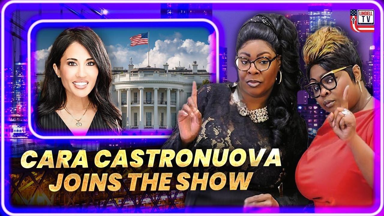 Cara Castronuova assaulted when trying to find - One News Page VIDEO