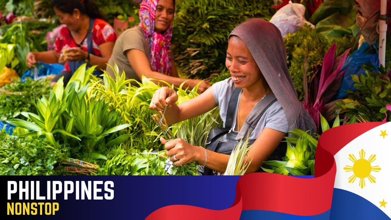 Philippines Live Street Cam IRL – Exploring - One News Page VIDEO