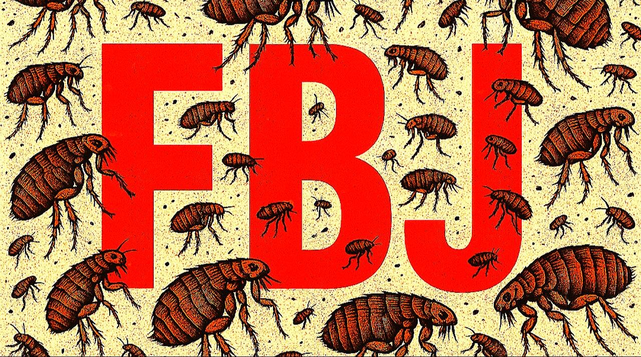 How a Narcissist Uses DARVO to Avoid - One News Page VIDEO