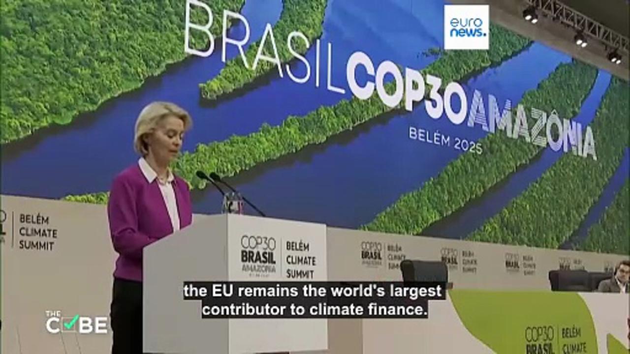 Fact check: Did Brazil chop down 100,000 trees - One News Page VIDEO