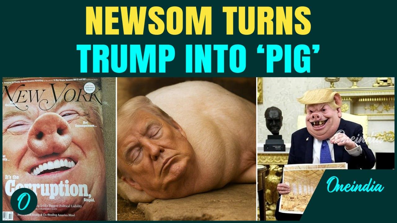 Gov. Newsom Unleashes Trump Meme BARRAGE; Brutal - One News Page VIDEO