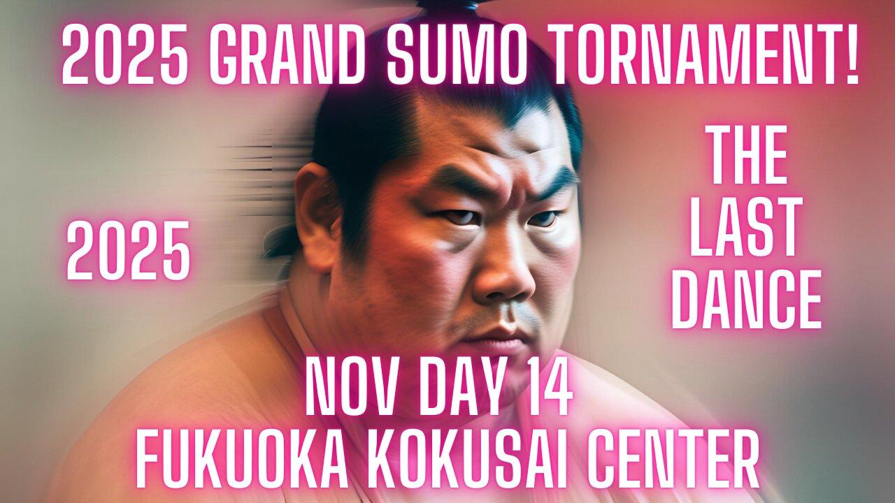 2025 Nov Grand Sumo Tournament Day 14!!!! - One News Page VIDEO