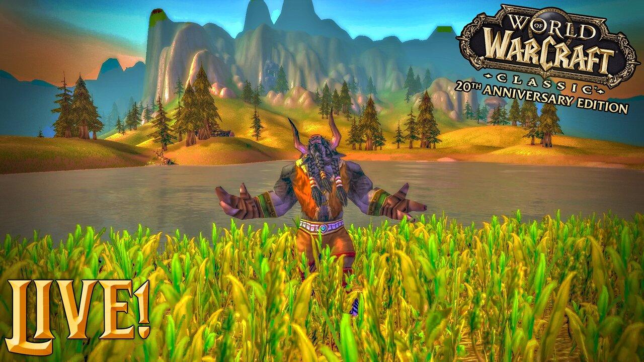 Chill WoW Classic Anniversary Leveling & - One News Page VIDEO
