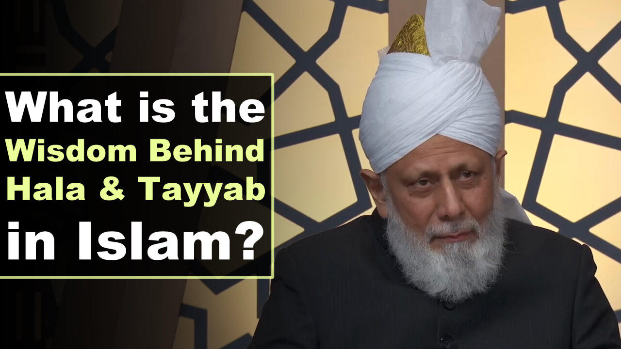 What is the Wisdom Behind Hala and Tayyab in - One News Page VIDEO