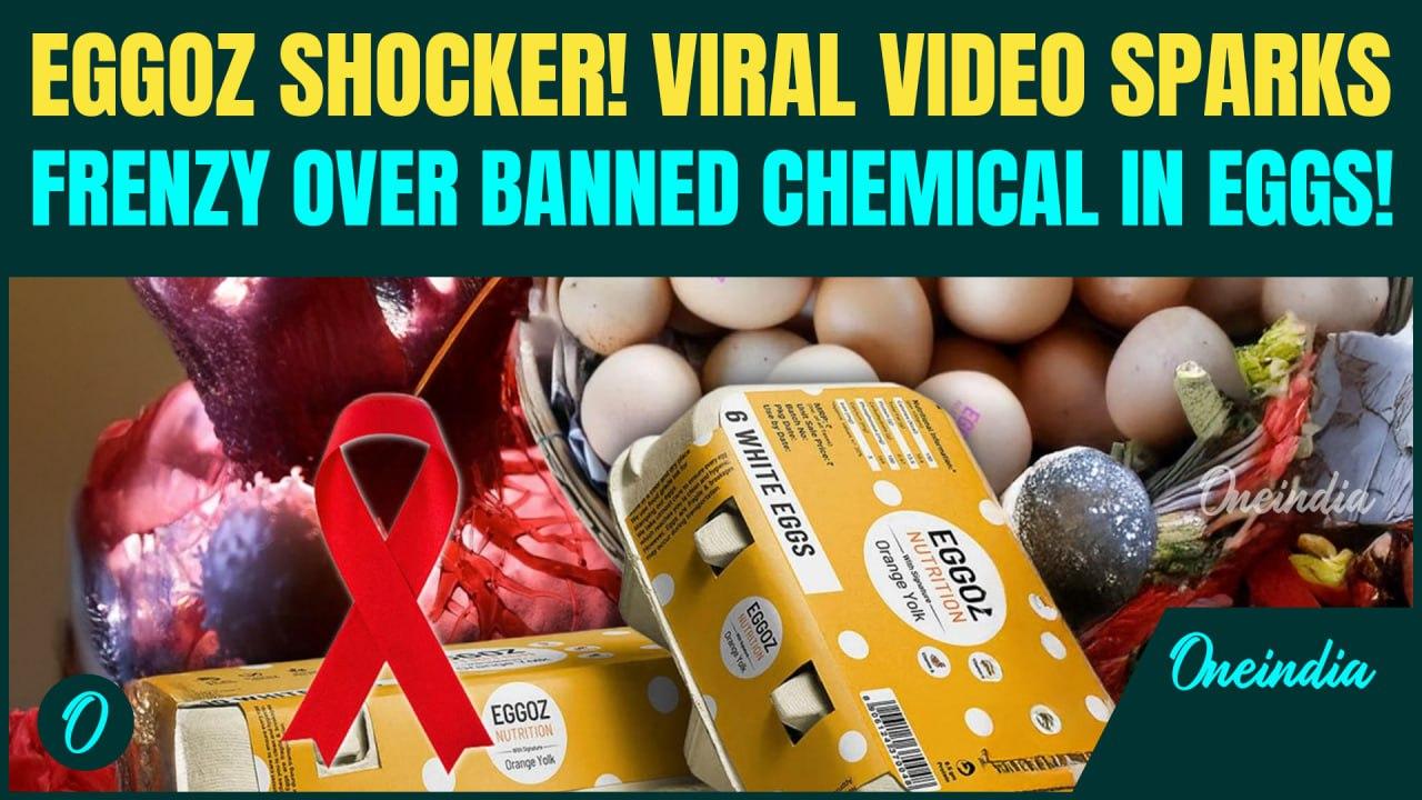 Eggs Cause CANCER? Eggoz Eggs CONTROVERSY Erupts - One News Page VIDEO