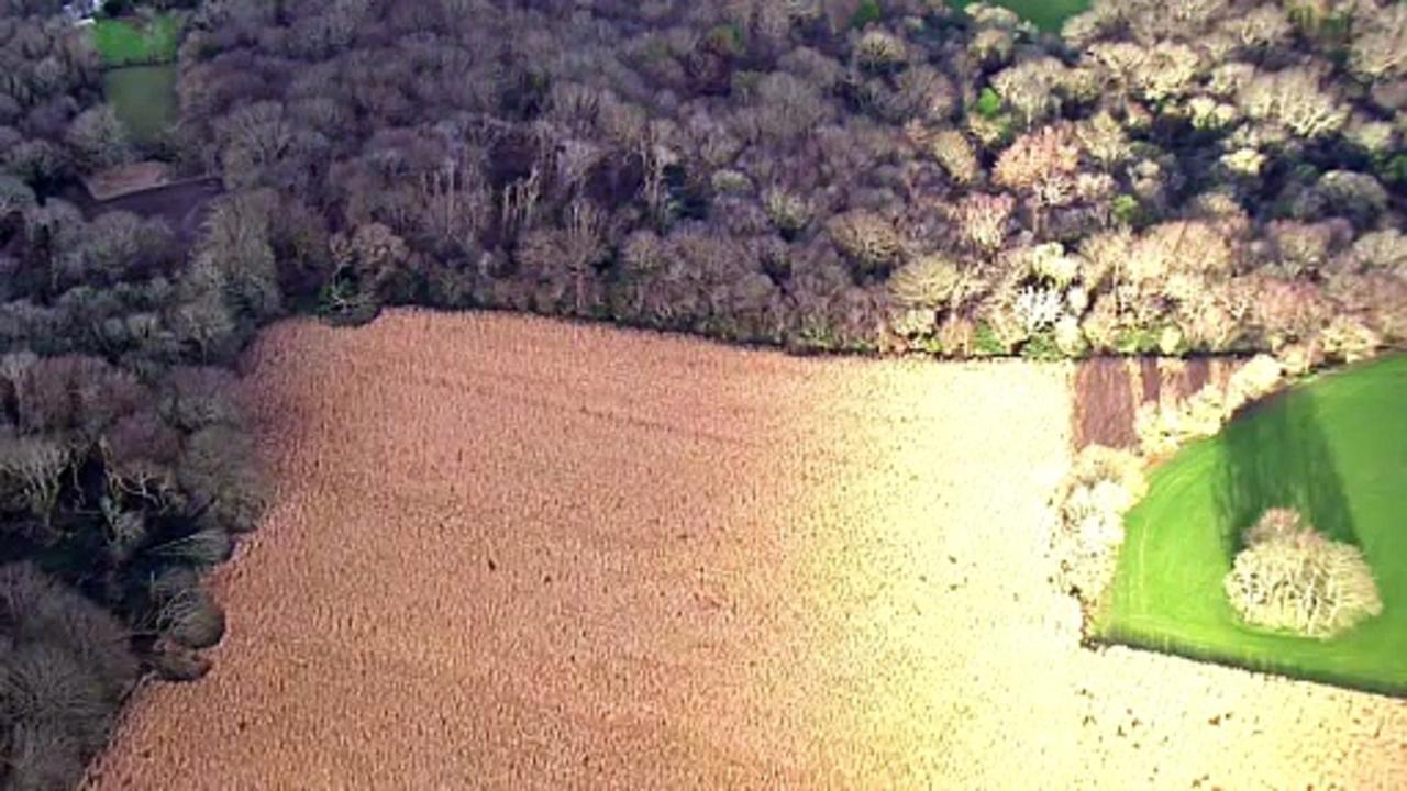 Storm Goretti leaves trail of destruction across - One News Page VIDEO