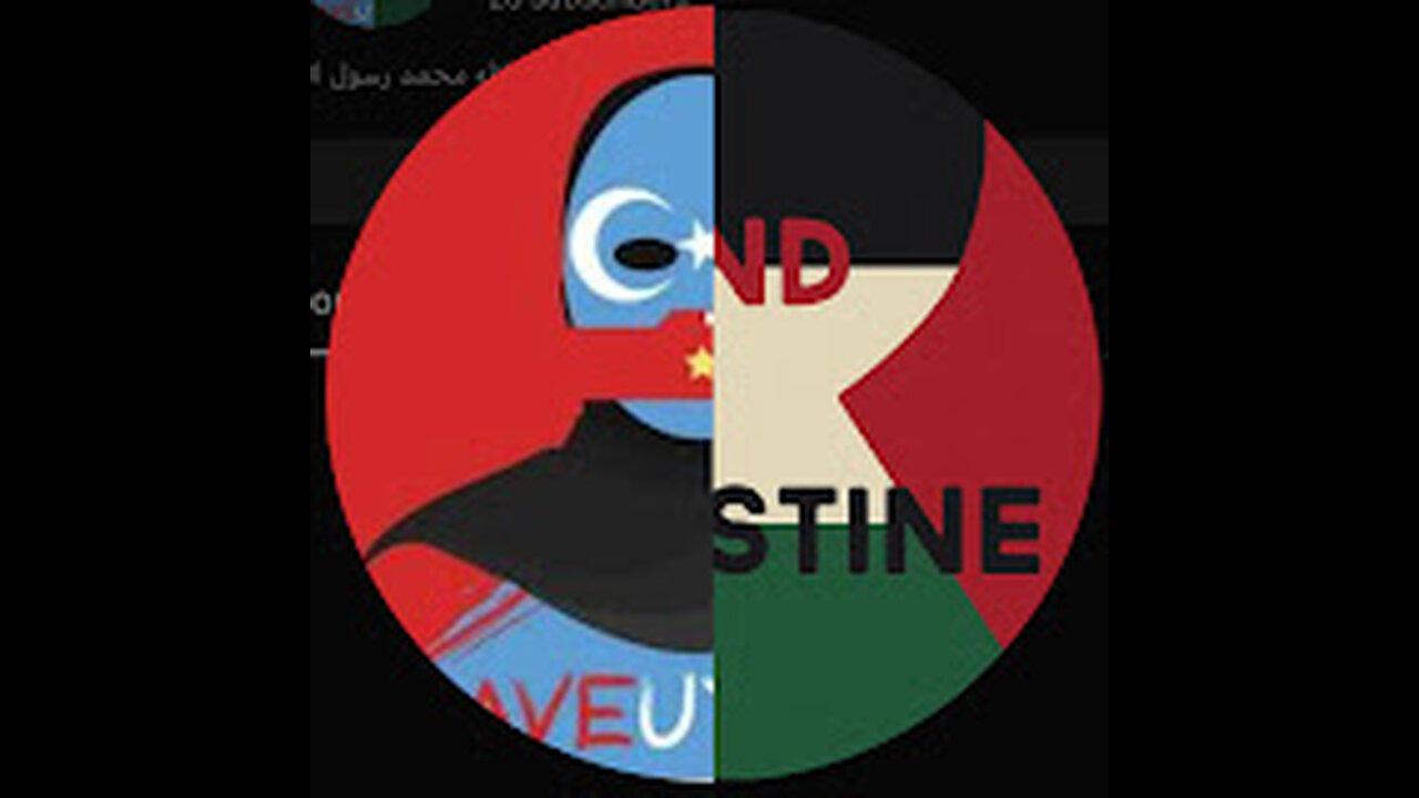 Psychoanalysing Social Media Superstars & - One News Page VIDEO