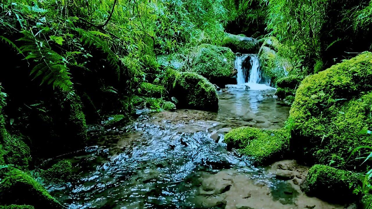 Segar banget airnya jernih bisa langsung di - One News Page VIDEO