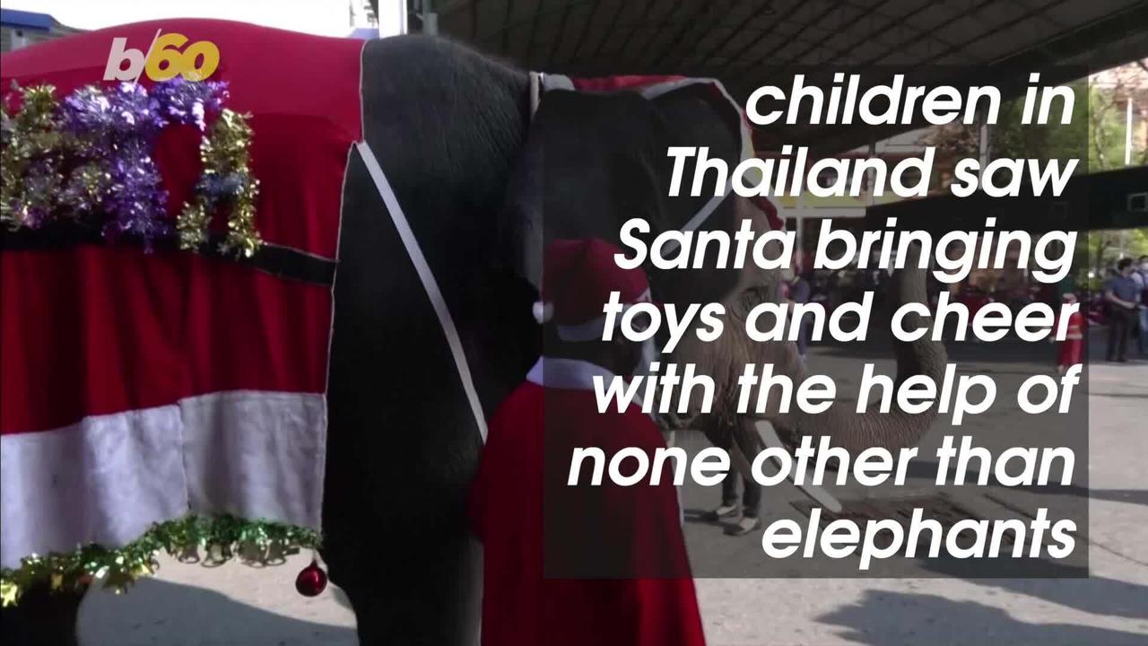Elephant Santas Spread Holiday Cheer at a Thai - One News Page VIDEO